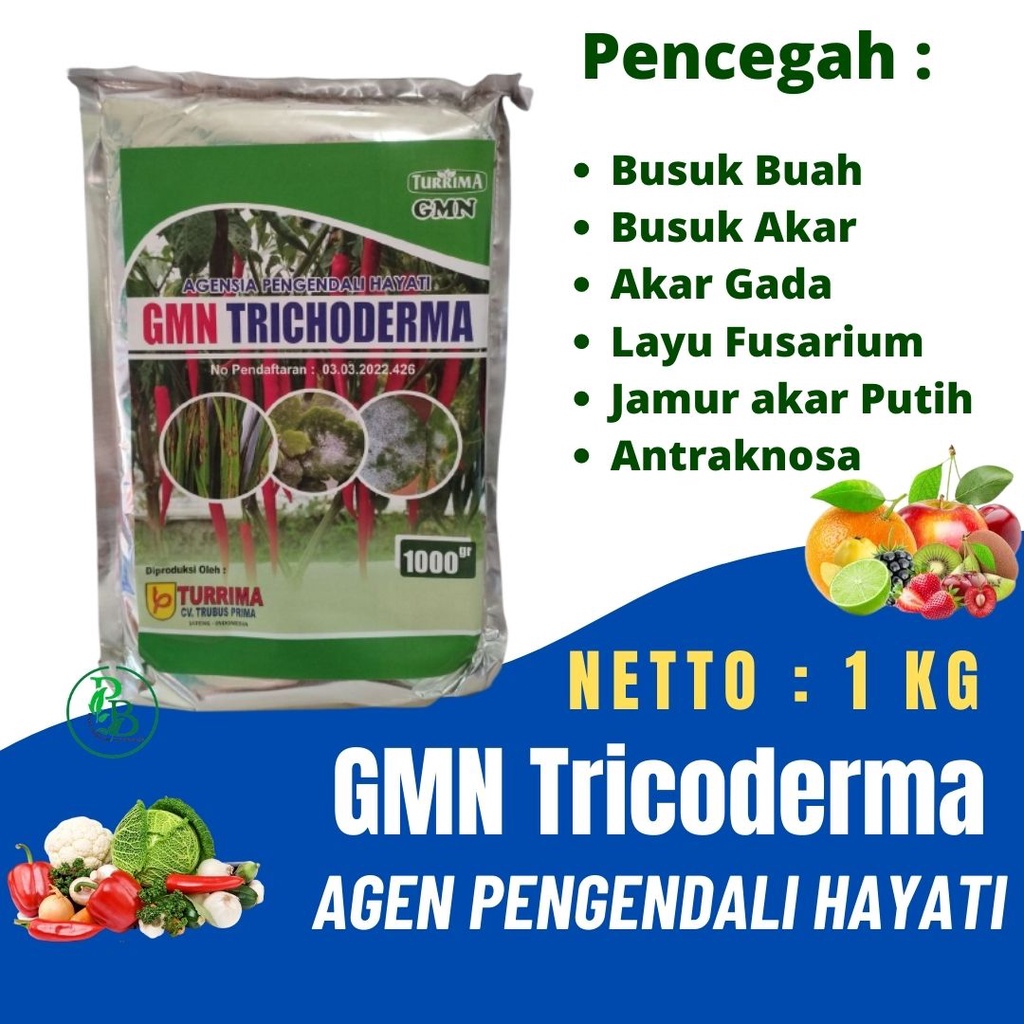 Jual PUPUK tricoderma padat untuk mengatasi busuk akar dan buah ...