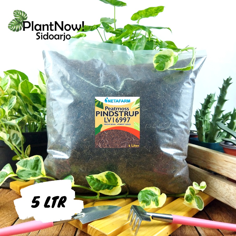Jual PINDSTRUP LV16997 Media Tanam Peatmoss Semai Hidroponik - 5 ltr ...