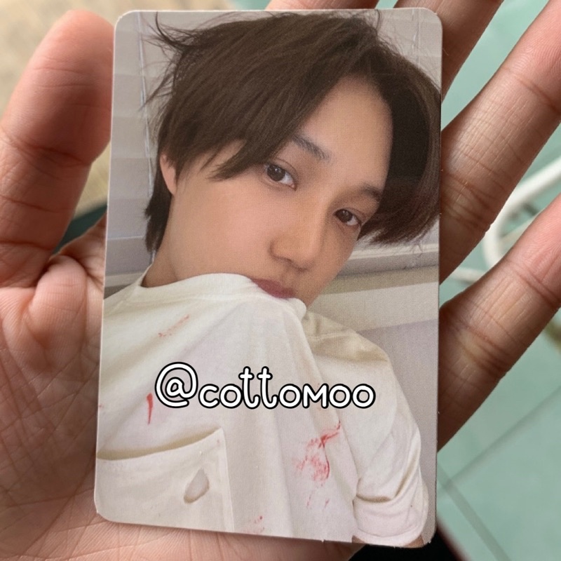 Jual [BOOKED JANGAN CO] PHOTOCARD (PC) KAI PEACHES VER KISSES (KAI GIGIT BAJU) | Shopee Indonesia
