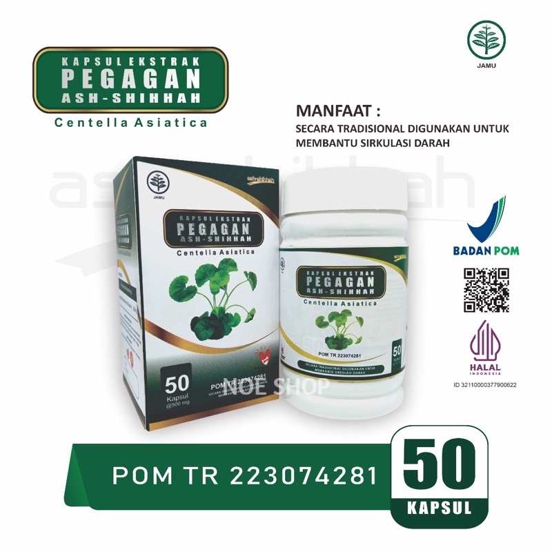 Jual (BPOM) Ekstrak Pegagan 50 Kapsul Original Ash-Shihhah | Shopee Indonesia