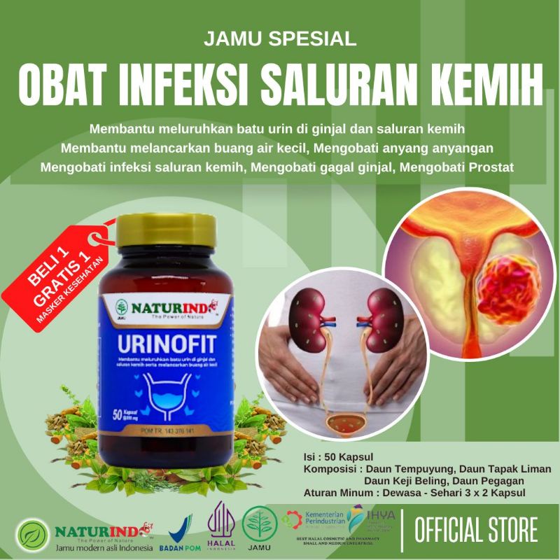 Jual Obat Infeksi Saluran Kemih Sering Buang Air Kecil Anyang Anyangan Herbal URINOFIT Naturindo ...