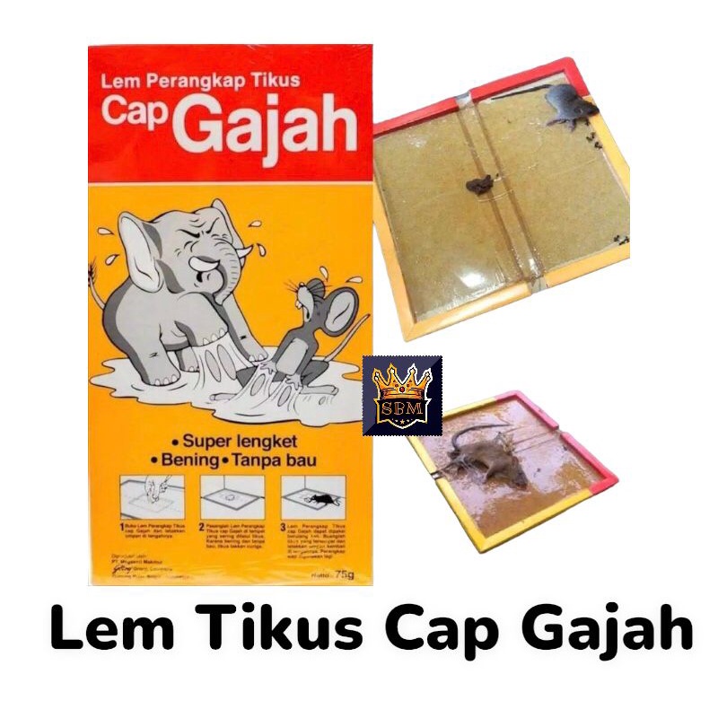 Jual SBM ~ LEM TIKUS papan/TRAP CAP GAJAH 70gr perangkap tikus | Shopee ...