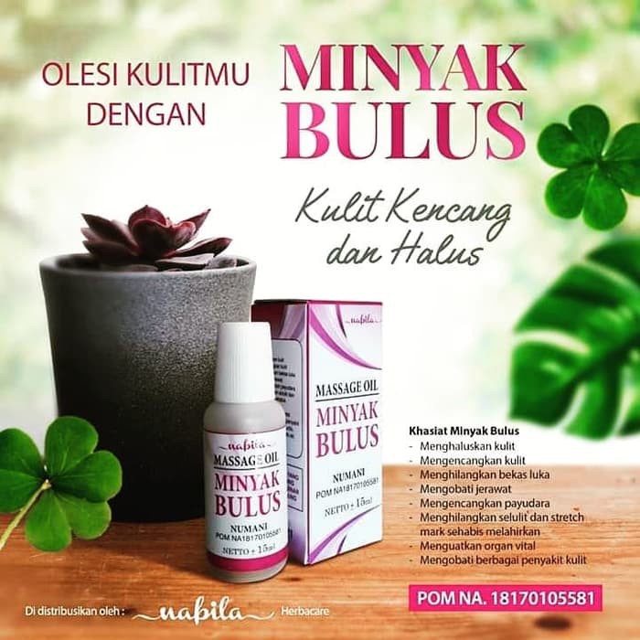 Jual Minyak BULUS Asli Original Plus Minyak Message Oil untuk ...