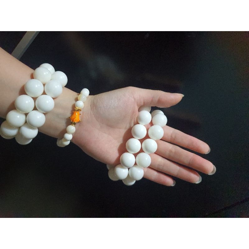Jual gelang tridacna kerang putih 16 mm | Shopee Indonesia