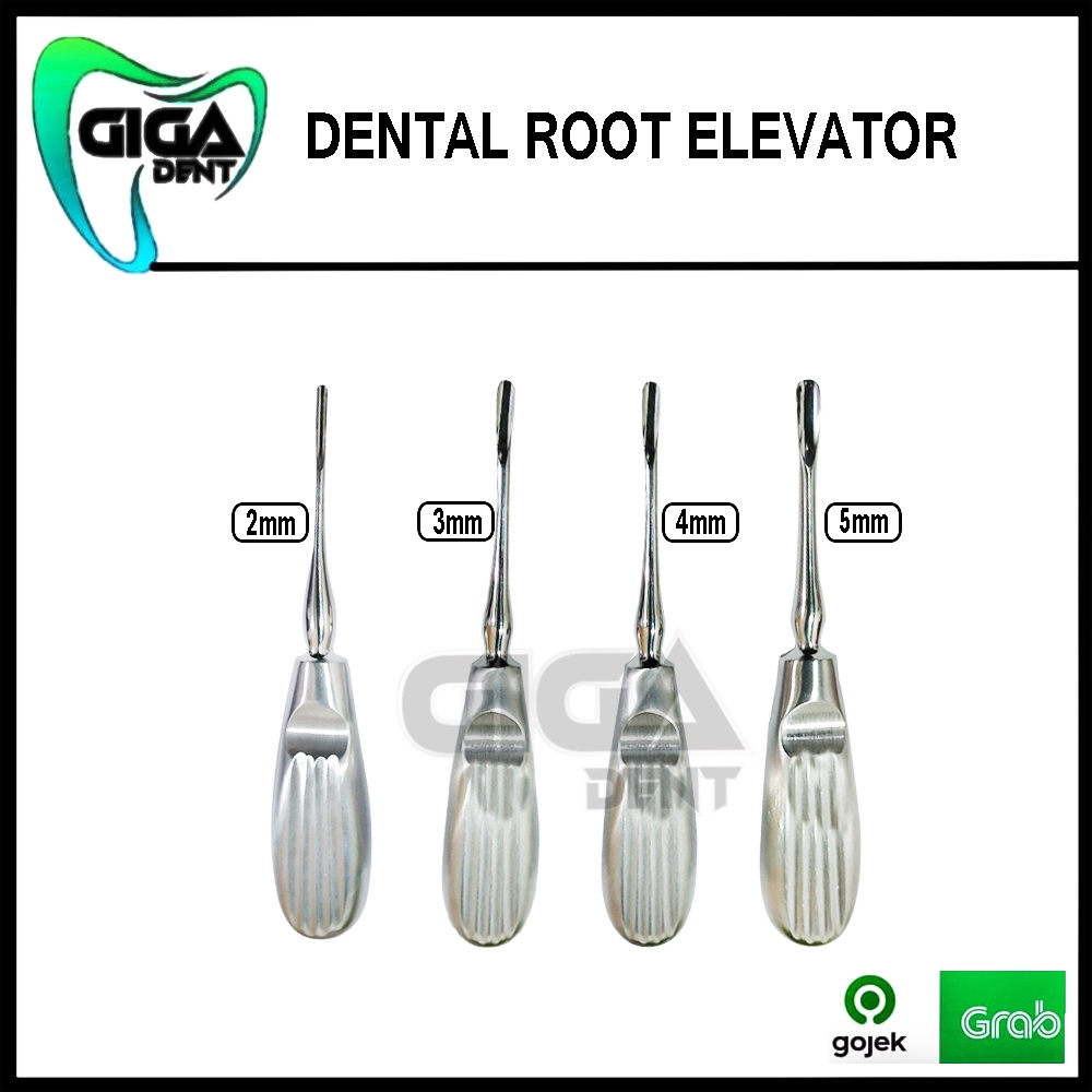 Jual DENTAL ROOT ELEVATOR / BEIN / LUXATOR SATUAN ALAT CABUT GIGI ...