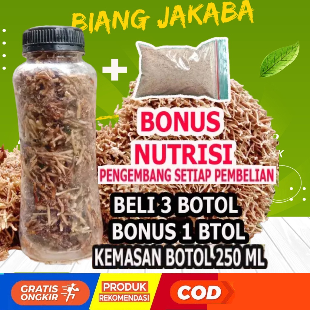 Jual Jamur Jakaba Spora Bibit Biang Jamur Jakaba Pupuk Organik ...
