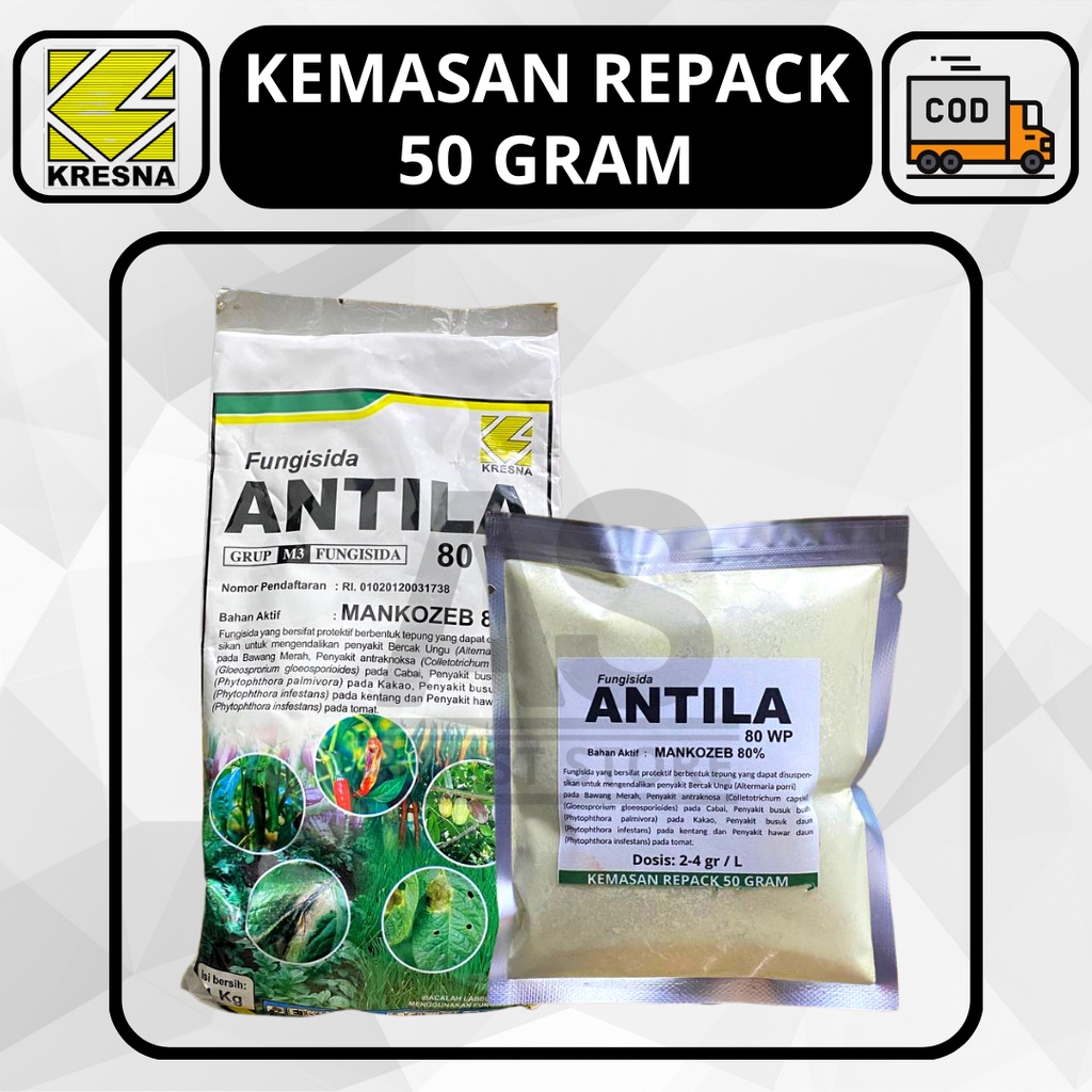 Jual Fungisida ANTILA Kemasan Repack 50 Gram Pengendali Busuk Daun ...