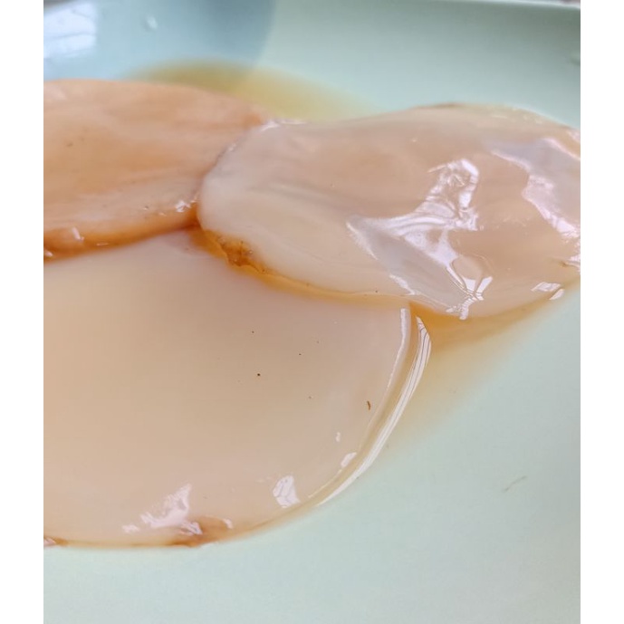 Jual ORGANIK | SCOBY JAMUR BAKTERI FERMENTASI TEH KOMBUCHA | JAMUR DIPO ...
