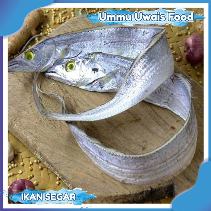 Jual Ikan Layur Segar Berkualitas - 1 Kilogram | Shopee Indonesia