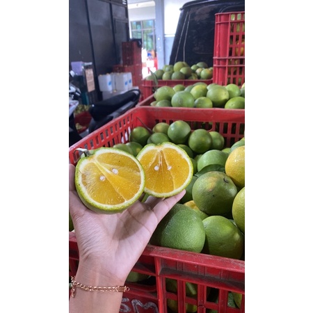 Jual jeruk baby java manis ( jeruk malang) per 1kg | Shopee Indonesia