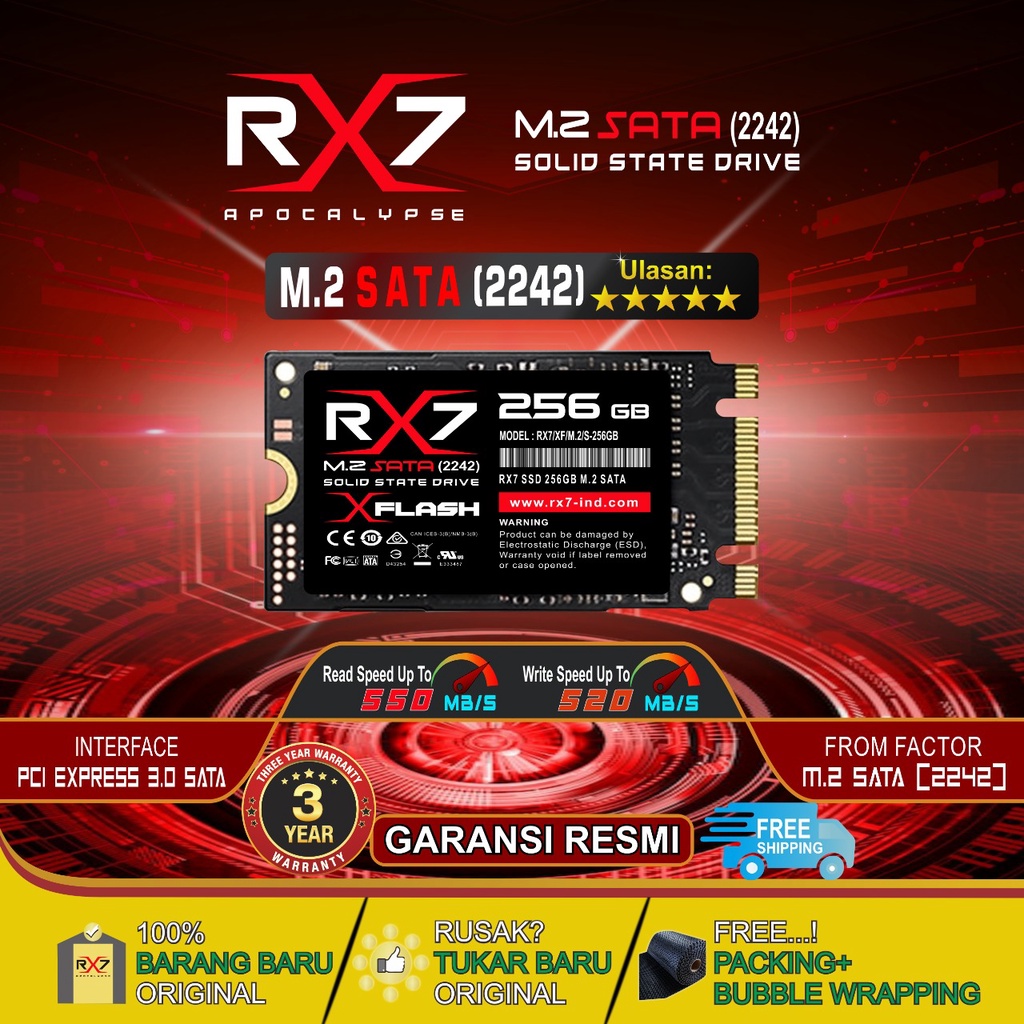 Jual SSD RX7 M2 SATA 256GB 2242 M.2 SATA / M2SATA GARANSI RESMI 3 TAHUN ...