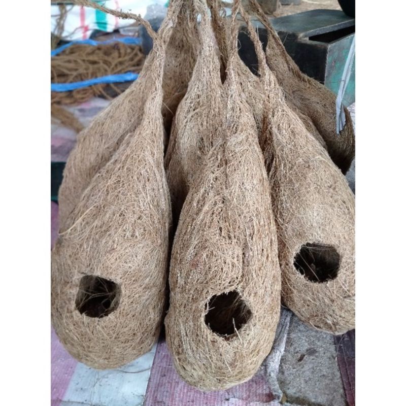 Jual Susuh manuk sarang burung rumah burung Glodok sabut kelapa ...
