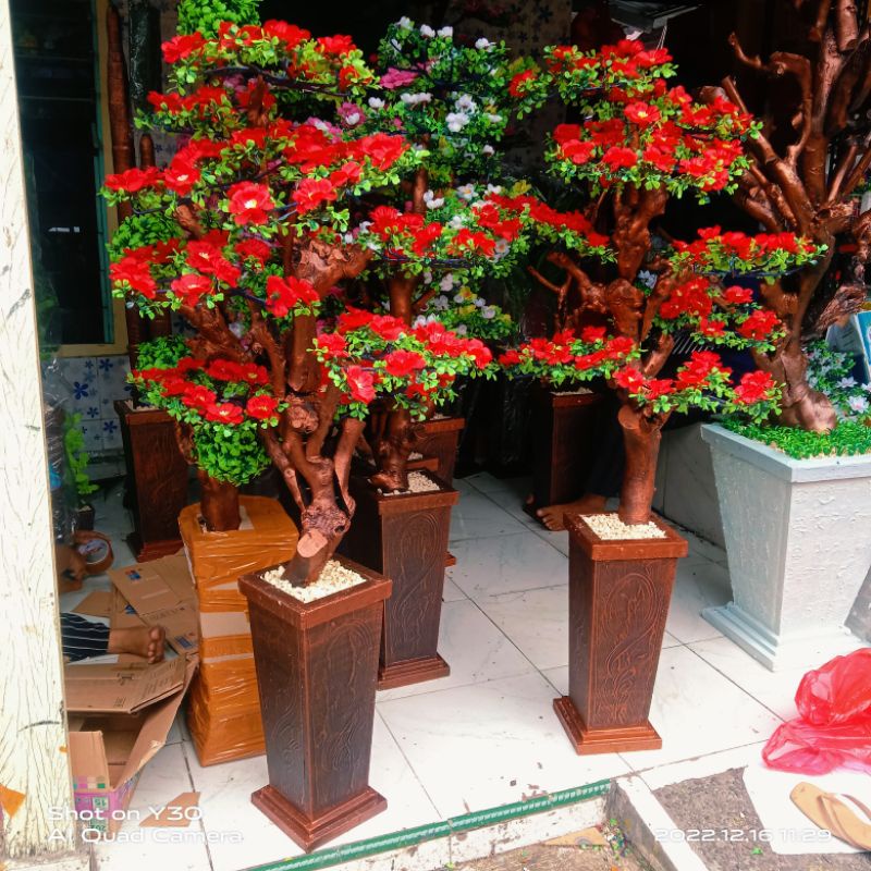 Jual TINGGI 140CM 11 KUNTUM X 9 CABANG LENGKAP POT+ BEBATUAN SAKURA ...