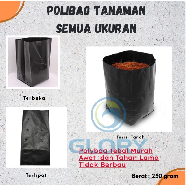 Jual Plastic Pot Polybag 250 Gram Isi Ratusan Lembar Kuat Berbagai ...