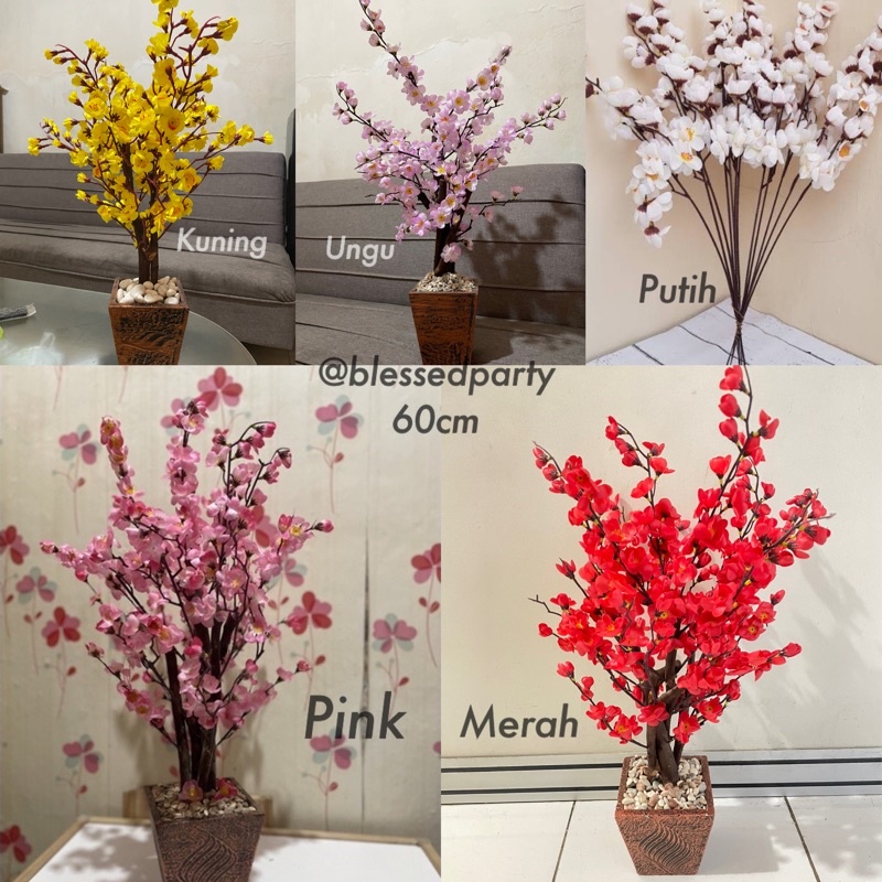 Jual (rumput) REAL PICT 5 WARNA Pohon Sakura Imlek | Bunga Sakura mei ...