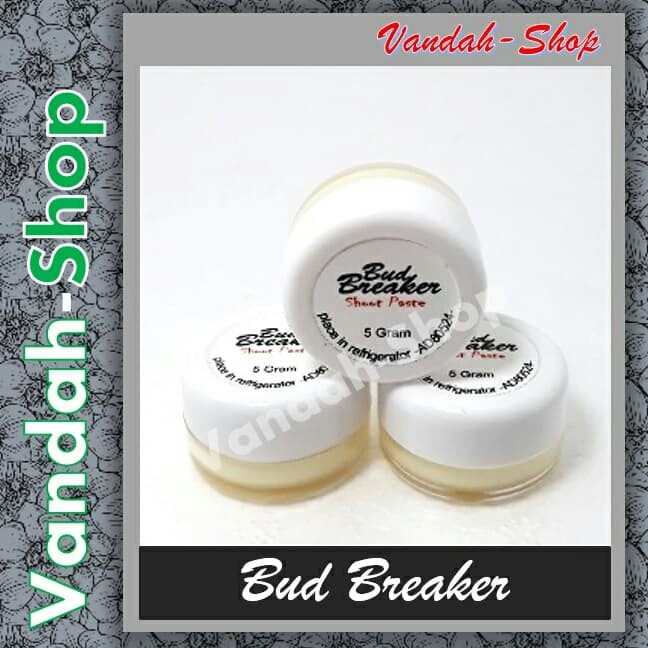 Jual Bud Breaker Salep Pemicu Tunas Pohon / Keiki pada Tanaman Anggrek ...