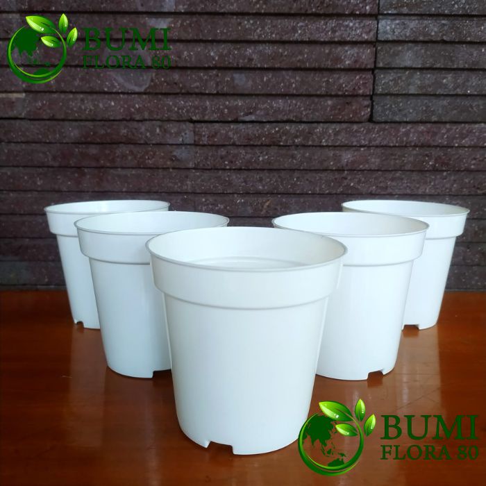 Jual Pot Tinggi Srondol 12/pot bunga/pot cantik/pot murah | Shopee ...