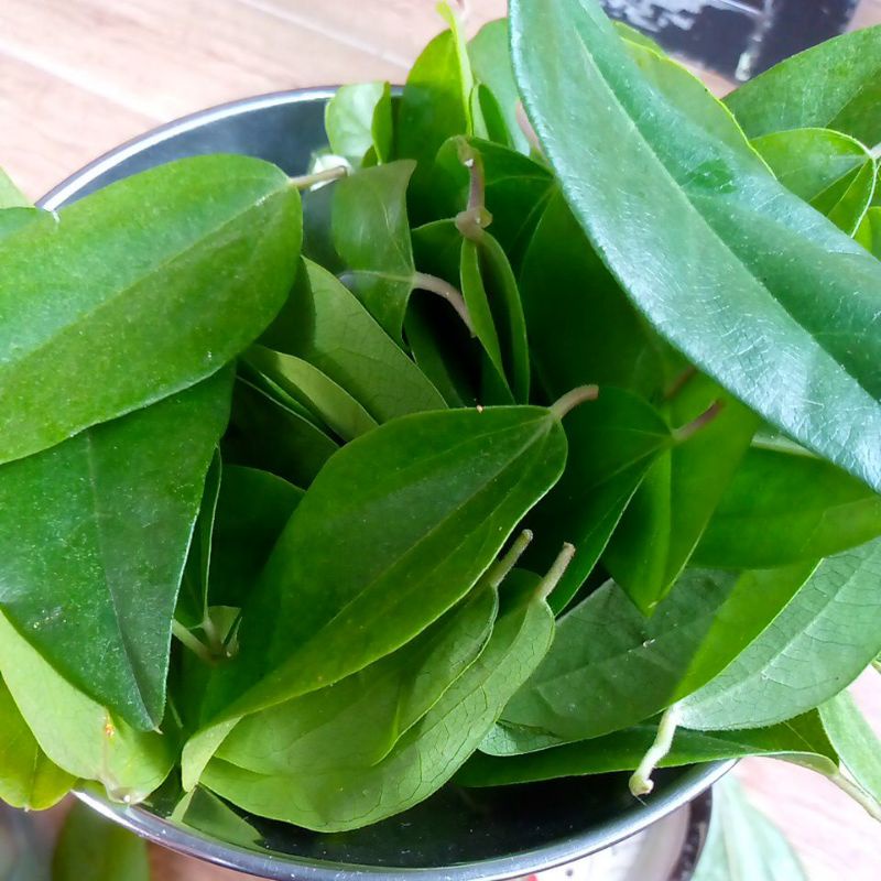 Jual Daun Daluman Segar Baru Petik 100gr | Shopee Indonesia