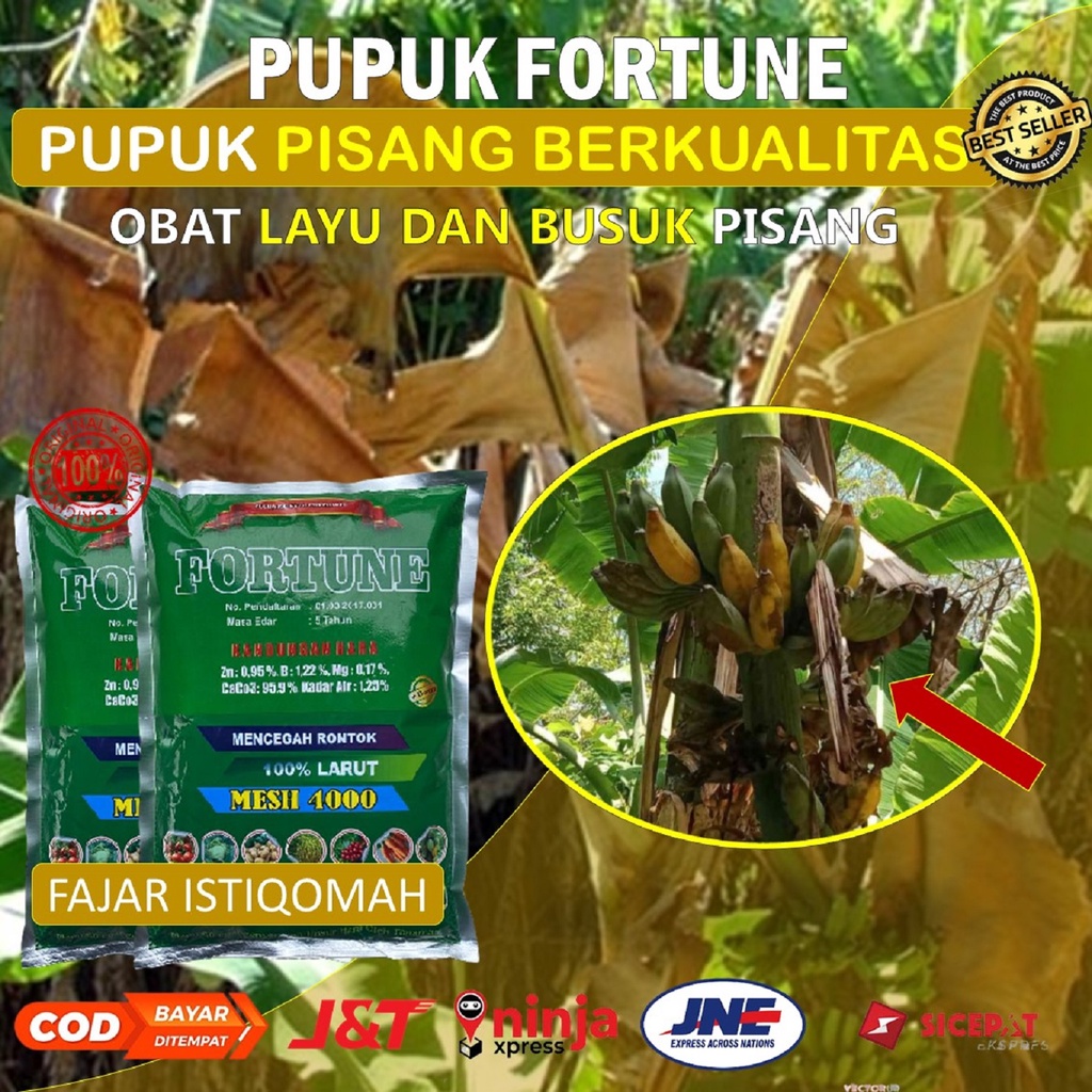 Jual PUPUK FORTUNE isi 1 kg OBAT LAYU PISANG MANJUR - Obat Layu PISANG - Obat Layu Fusarium ...