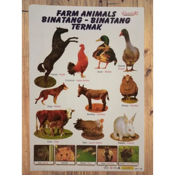 Jual Poster Belajar Anak Binatang-binatang Ternak | Shopee Indonesia