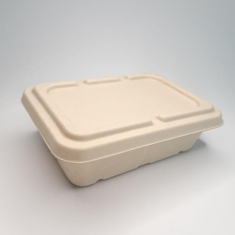 Jual Lunch Box Bagasse Rectangle Cake Pulp Lid Box Kotak Makan Serbaguna 10pcs | Shopee Indonesia