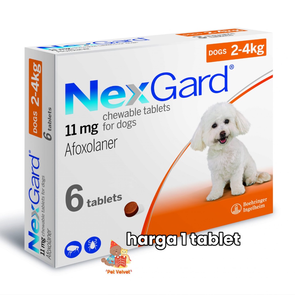 Jual Nexgard Obat Kutu Size S (2-4 kg) Anjing Kecil Small Breed Dog (1 ...