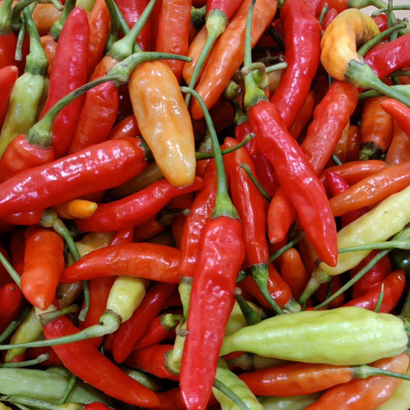 Jual Cabe Cabai Rawit Burung 100 gr | Shopee Indonesia