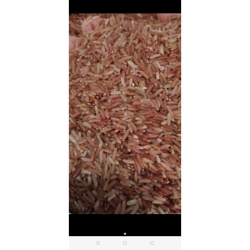 Jual Beras Merah Premium Quality | Shopee Indonesia