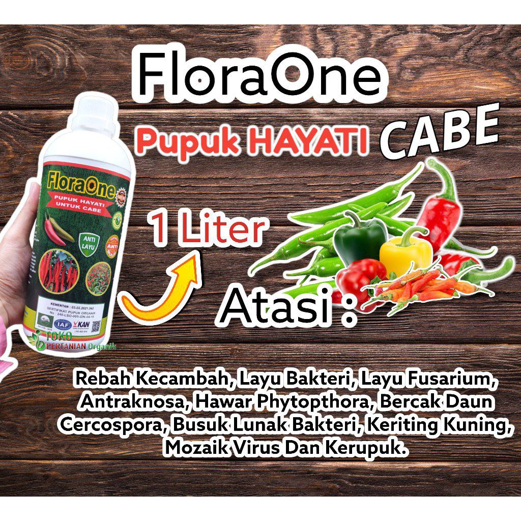 Jual Pupuk cair tanaman cabe rawit anti penyakit rebah kecambah ...