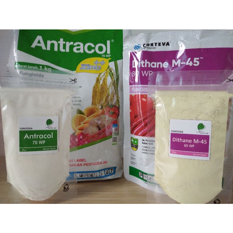 Jual REPACK ANTRACOL 70WP PLUS ZINC, DITHANE 80 WP PUPUK FUNGISIDA ANTI ...