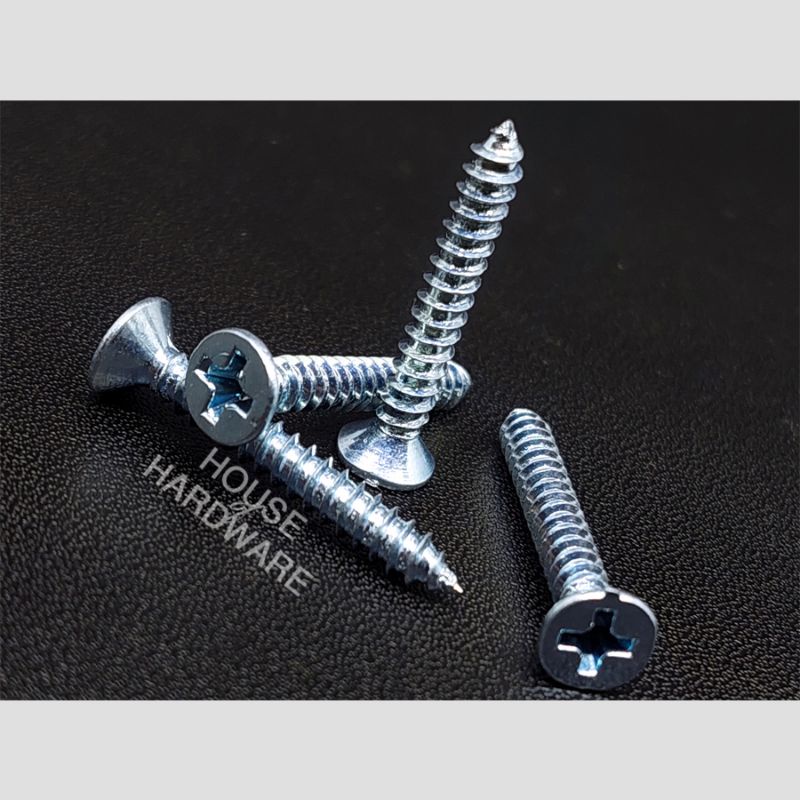 Jual SEKRUP CACING 6 mm x 1" / TAPPING SCREW (ISI 50 Pcs) | Shopee ...