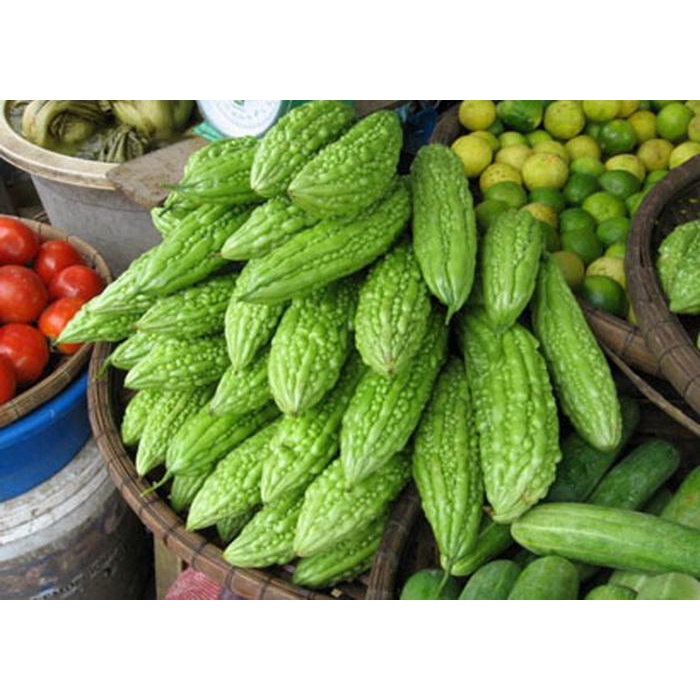 Jual Sayur Mentah Buah Pare Segar 1kg | Shopee Indonesia