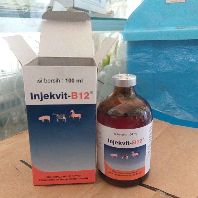 Jual Injekvit B12 100ml Anemia dan kelemahan umum | Shopee Indonesia