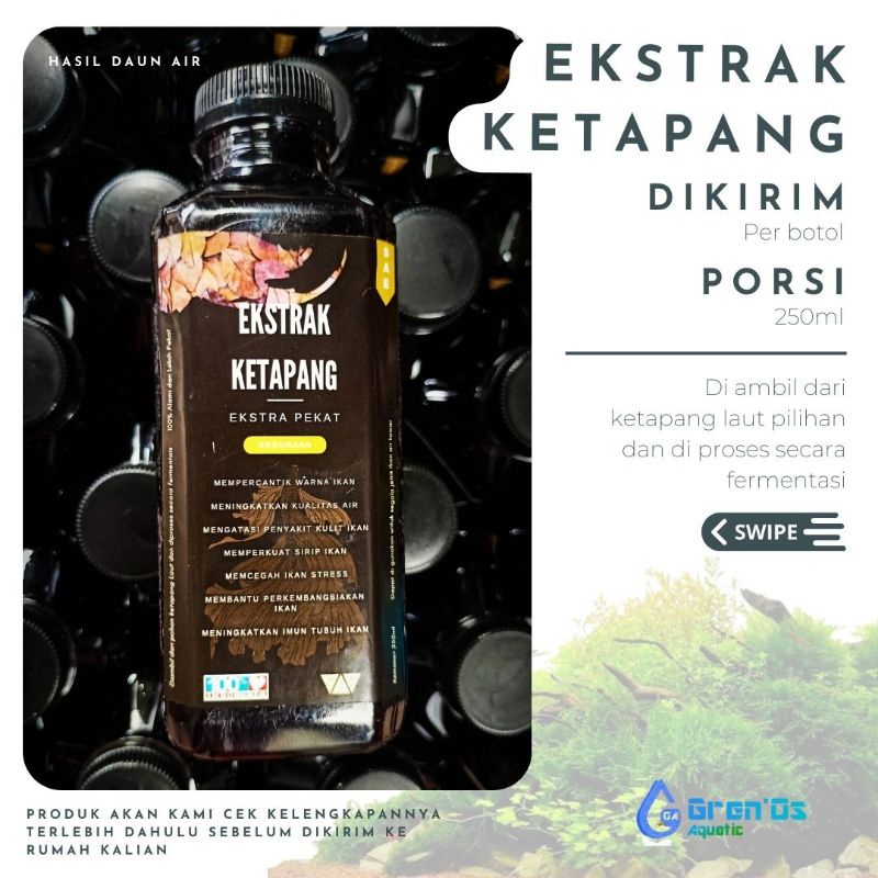 Jual Ekstrak Daun Ketapang Laut Pantai 250 ML Obat Vitamin Ikan Anti ...