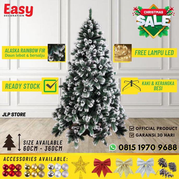 Jual Pohon Natal Premium 2.5 Meter / 8Ft ALASKA RAINBOW FIR CHRISTMAS ...