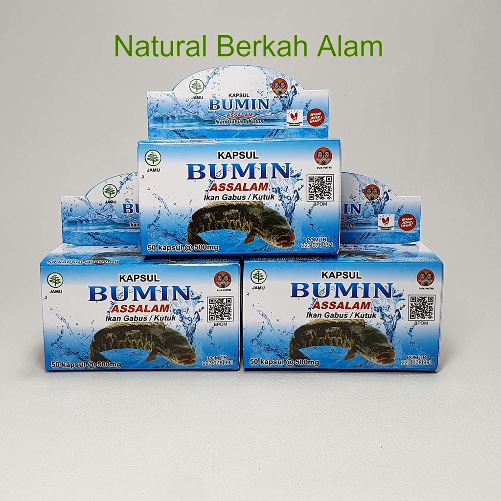 Jual Bumin Assalam Ikan Gabus / Kutuk @ 50 Kapsul | Shopee Indonesia
