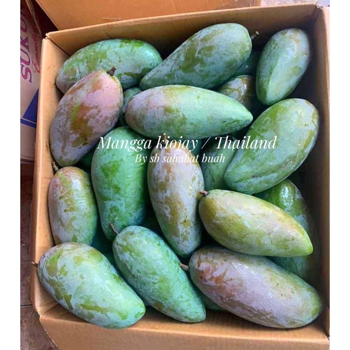 Jual BUAH MANGGA KIOJAY MENTAH / MANGGA THAILAND MENTAH HARGA GROSIR ...