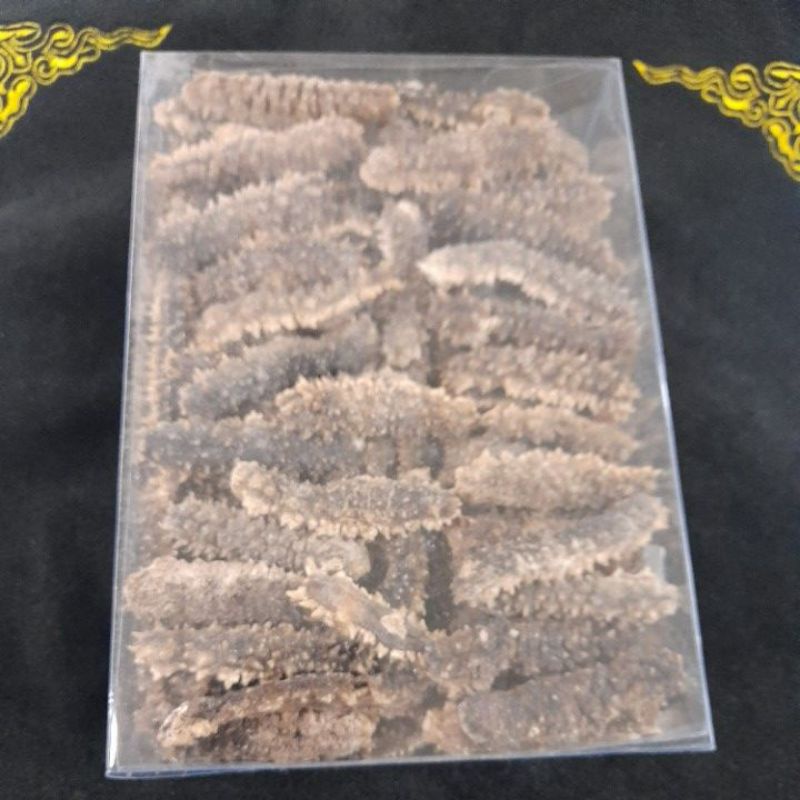 Jual Tripang Duri 500 gram Haisom Kering | Shopee Indonesia