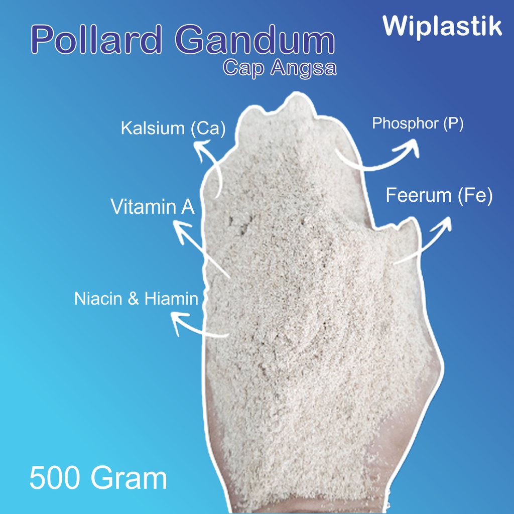 Jual Pollard Gandum Cap Angsa Pakan Ternak Kelinci Media Ulat Jerman ...