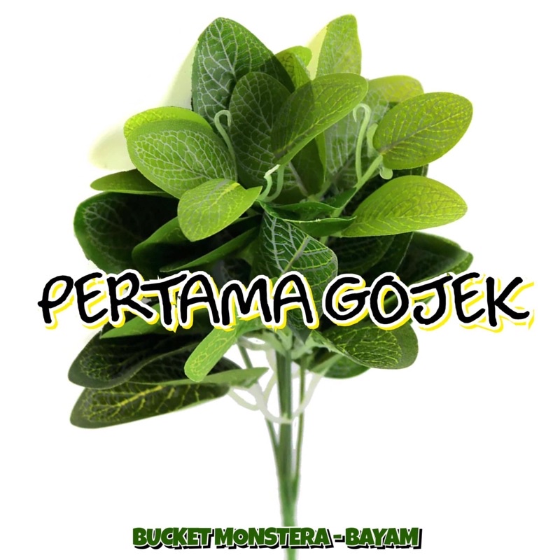 Jual Monstera Plastik/ Bunga Plastik/ Daun Plastik/ Daun Rambat Plastik ...