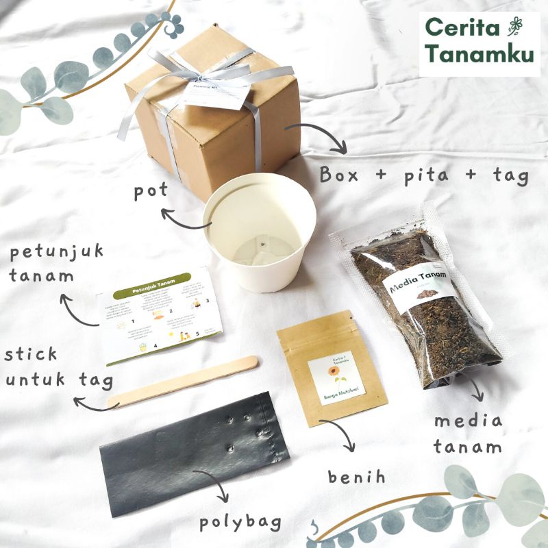 Jual Mini Planting kit /grow kit / paket menanam / hampers / gift box ...