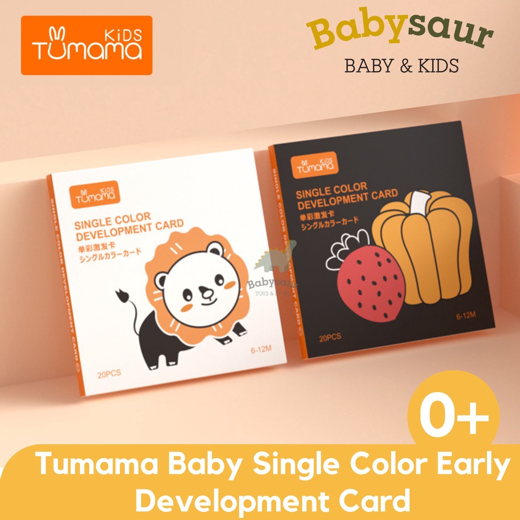 Jual TUMAMA Baby Early Development Flash Card Mainan Edukasi Bayi Anak ...