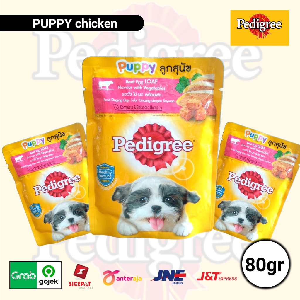Jual Pedigree Pouch Puppy beef Loaf 80gr wetfood pedigree sachet ...