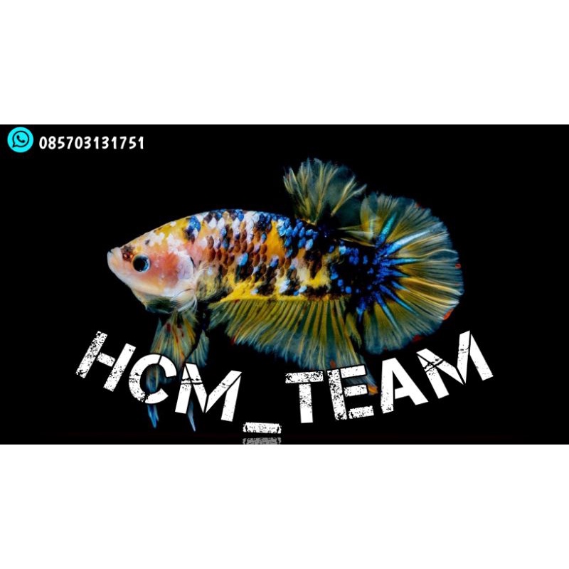 Jual logo hcm_TEAM | Shopee Indonesia