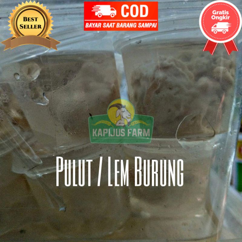 Jual Lem Burung / Pulut Burung Super Lengket / Lem Jebak Burung Murah ...
