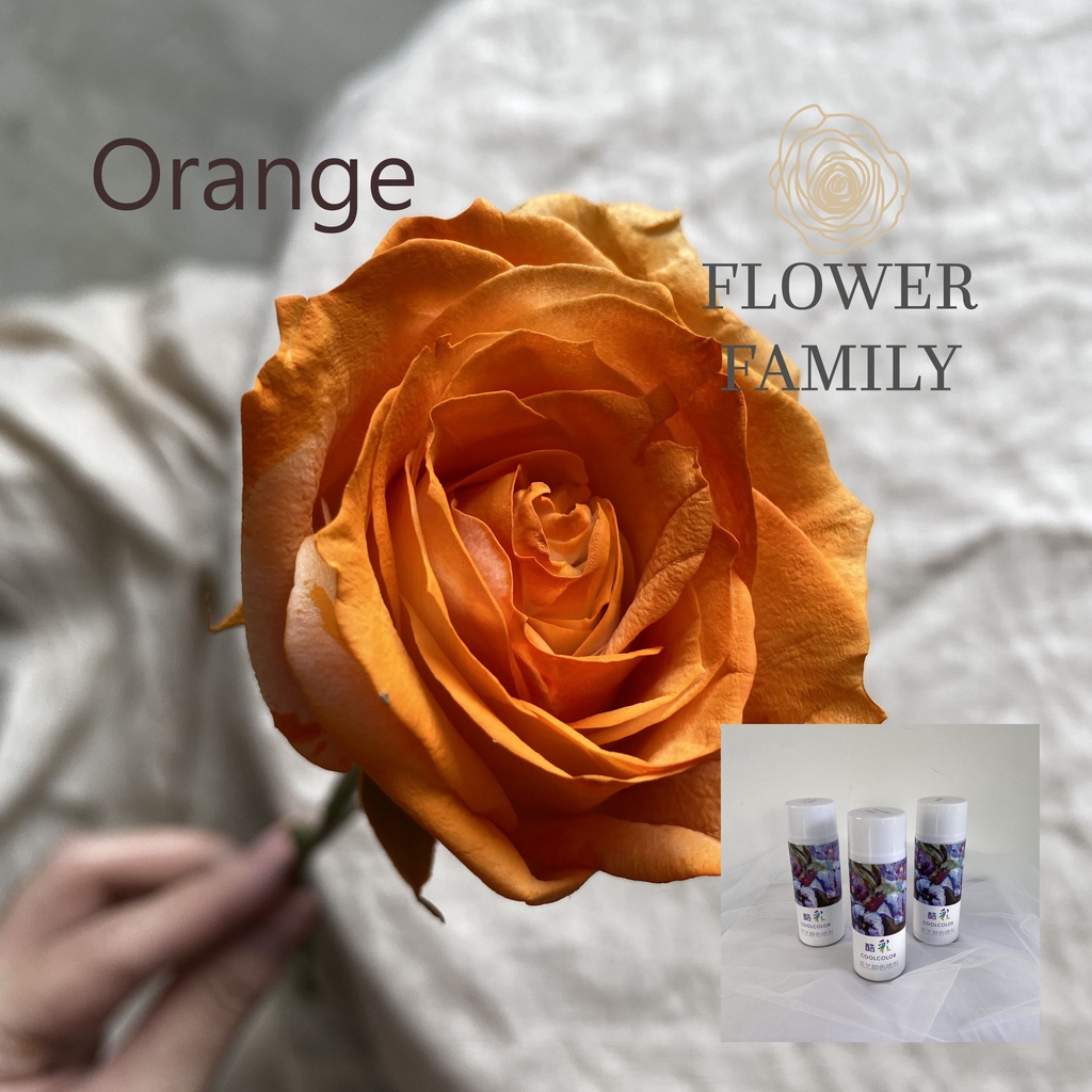 Jual Flower Family - COOL COLOR / Floral Spray / Pewarna Bunga Pilox ...
