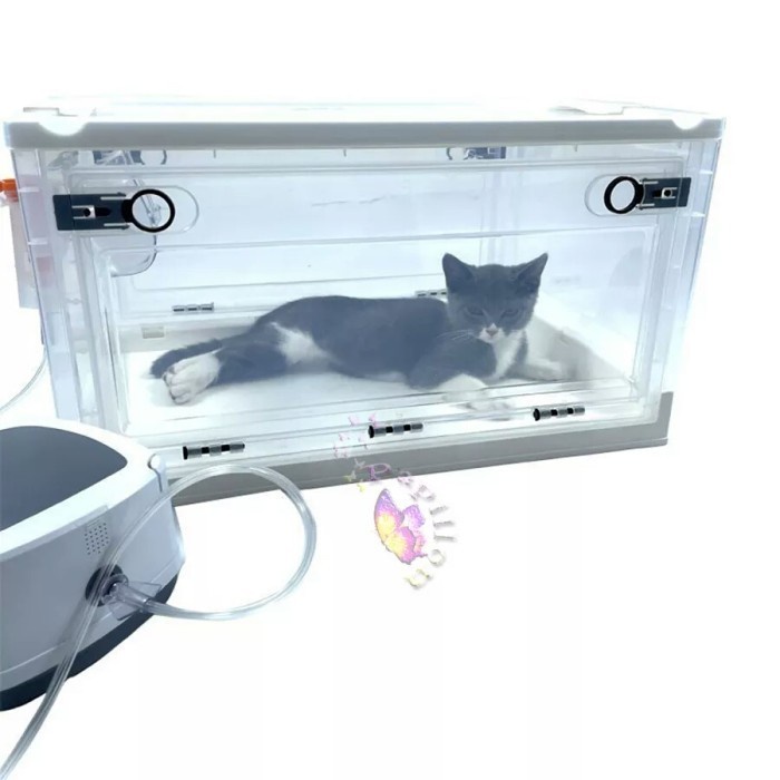 Jual Oxygen Room Foldable Nebulization Box Portable Pets Oxygen Cage ...