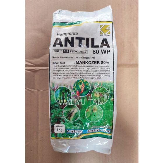 Jual ANTILA 80 WP FUNGISIDA 1 KG | Shopee Indonesia