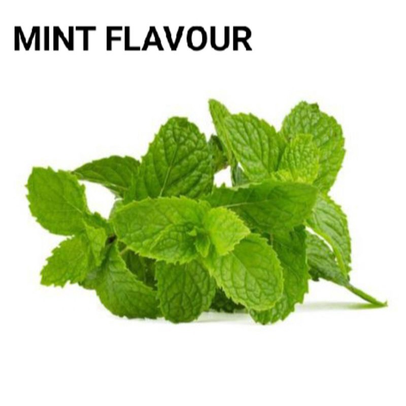 Jual Flavour Essence Flavor Essen Perisa Mint 30Gram | Shopee Indonesia