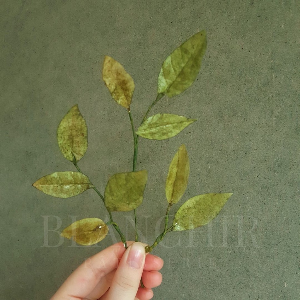 Jual Wafer Paper Daun | Wafer Paper Leaves | Wafer Paper Branches ...